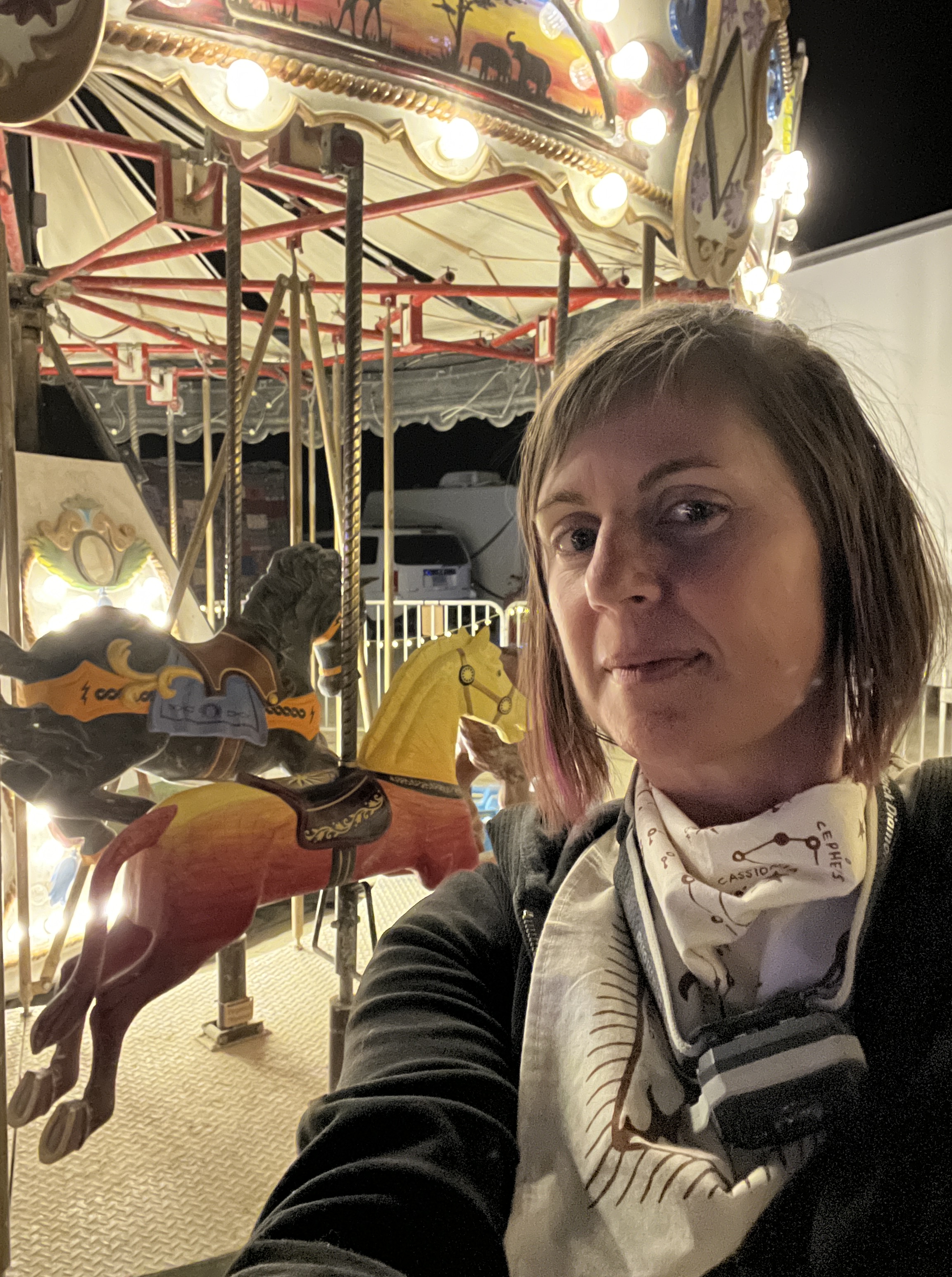 NEWS & UPDATES – Skyhorse Carousel